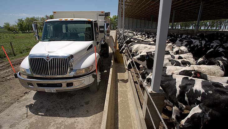 Monoslope Beef Barn Feedlot | McLean County, Illinois | FBi Buildings