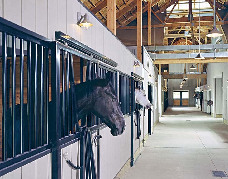 T Shaped Horse Barn with Riding Arena | Hampshire, IL | FBi Buildings